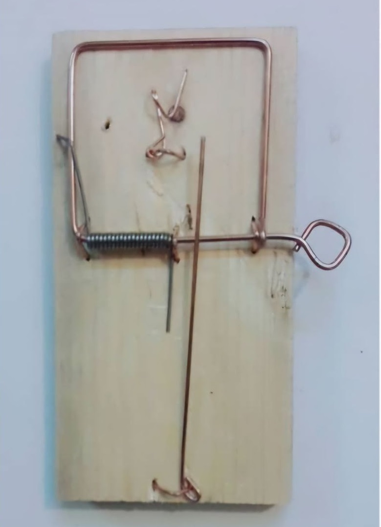 تله موش تک فنره - شرکت سم پاشی صنعت زیست محور